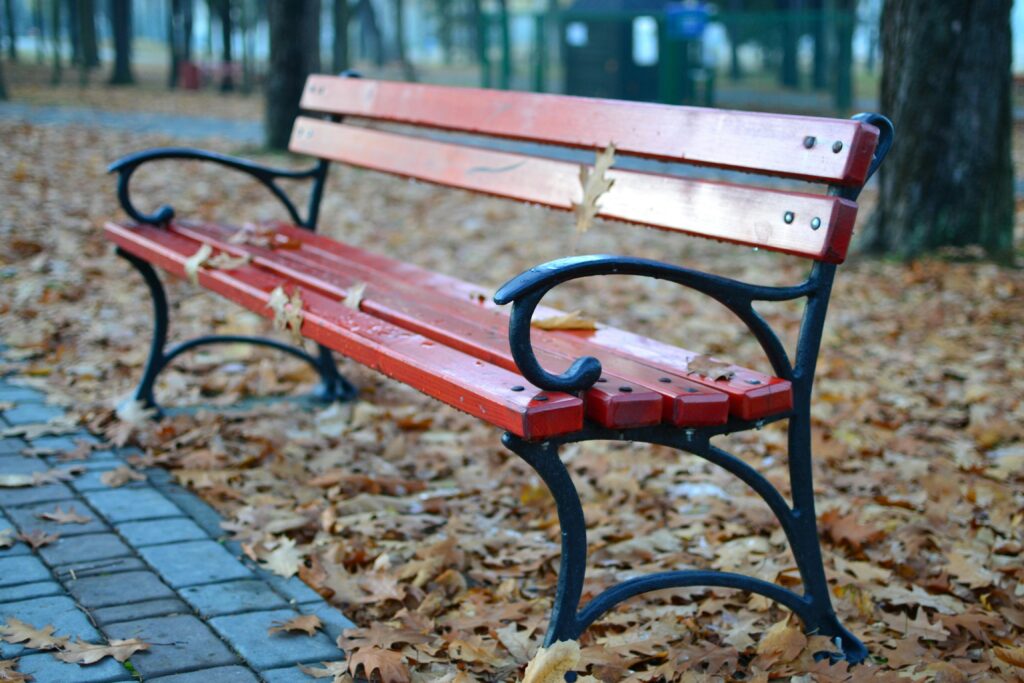 Anchor celebrates 800th 'chatty bench' installation, designed to combat ...